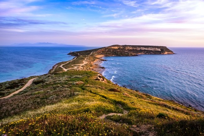 Mural de la Isla Cornwall en Canadá - Rotulos Decorativos